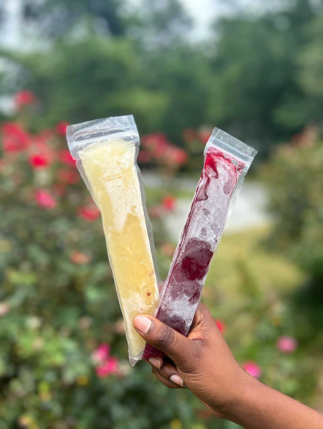 All Natural Vegan Popsicles - Ice cream – MOKIPOPS